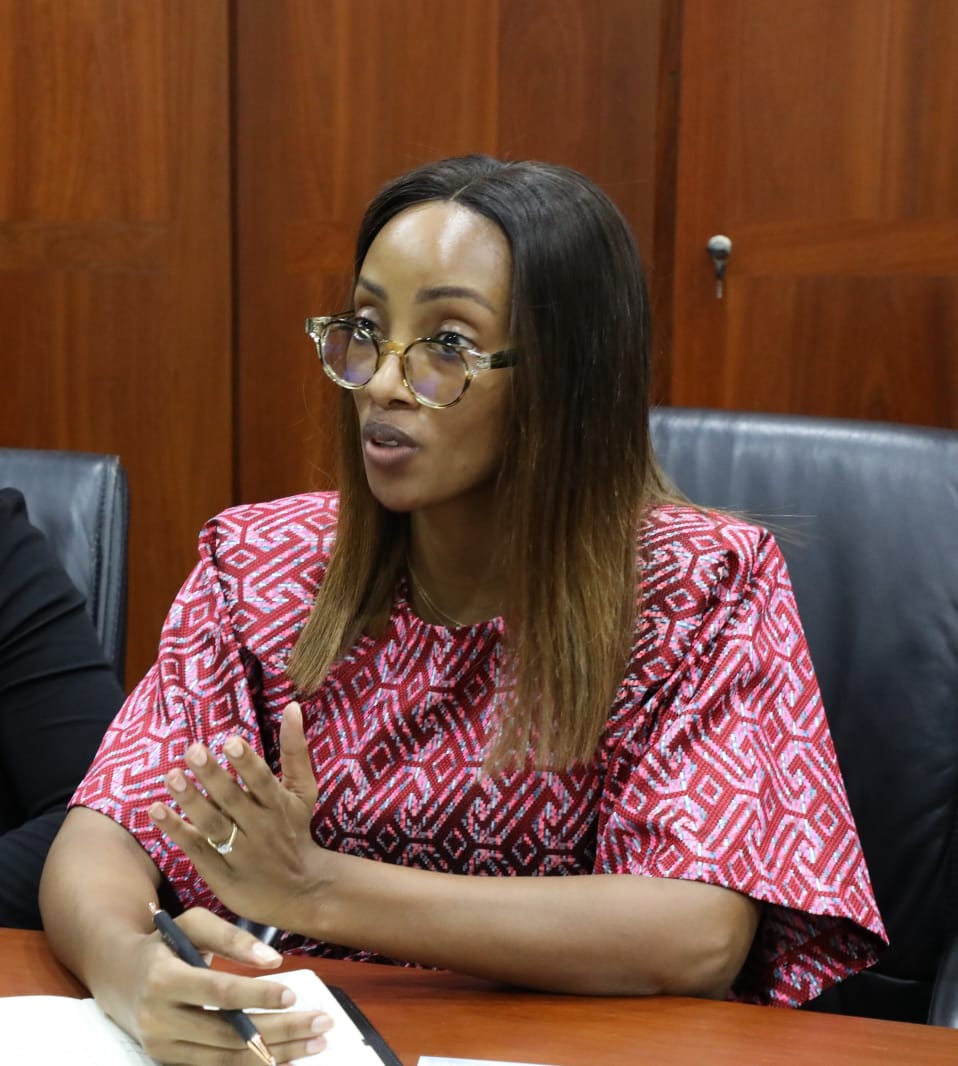 Africa Finance Corporation (AFC) meets with the Hon. Dr. Mwigulu Lameck Nchemba, Minister of ...